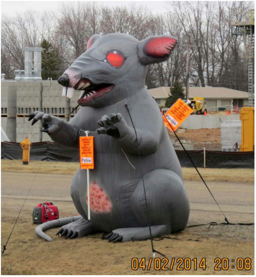 Seventh Circuit: Wisconsin “Rats and Cats” Case May Be Moot | Rocky ...